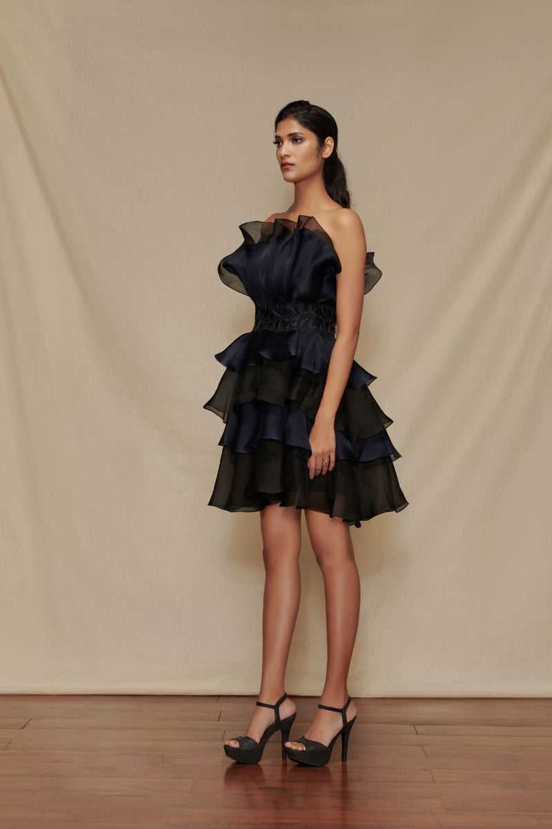 Two Toned Cabbage Dress – Shriya Som